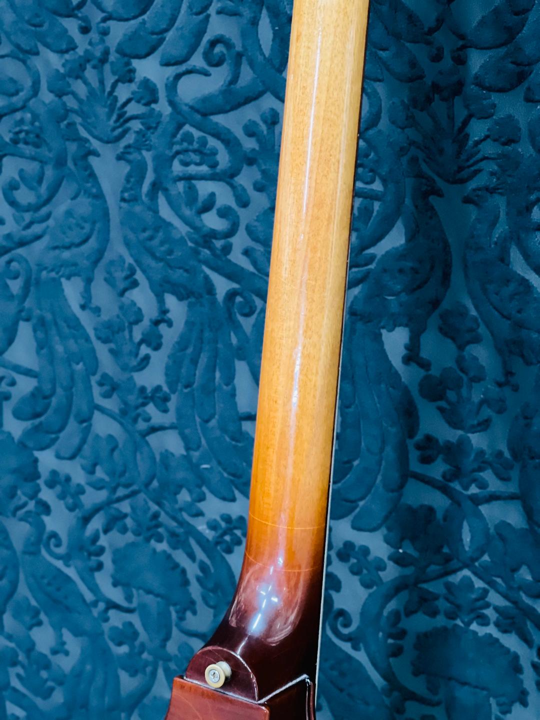 Maton Baroque Bass – Classic Guitars and Amps