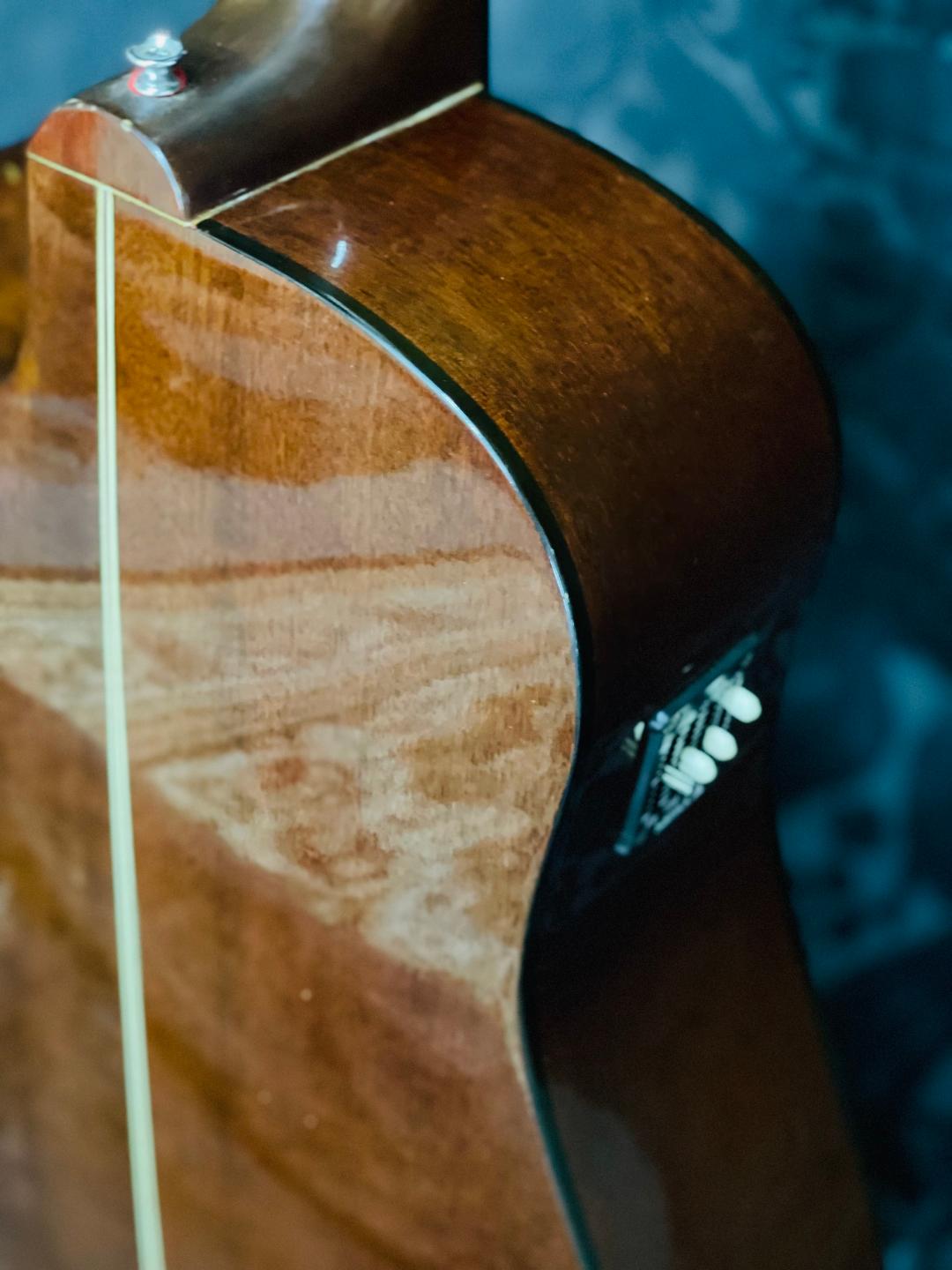 Samick SW210CE – Classic Guitars and Amps